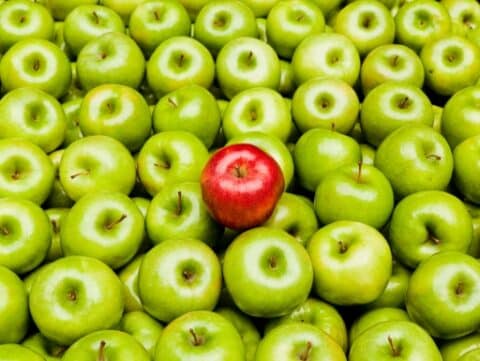 What Makes a Good Team Turn Toxic (And How to Fix It)