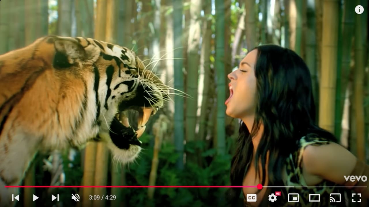 Roar by Katy Perry (Lyrics and Video)